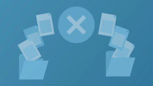 Customer Data Platform Accelerator - Ignitho